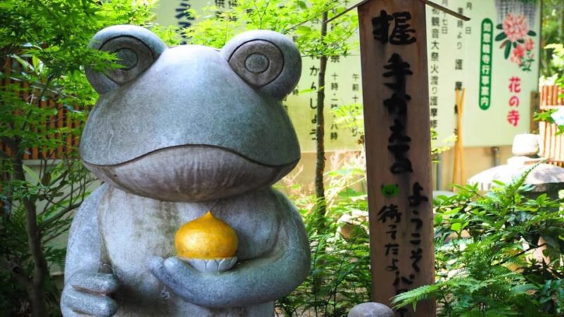 Fukuoka: Beppu Hells HotSpring, Frog Temple & Yufuin DayTrip - Transportation and Guide