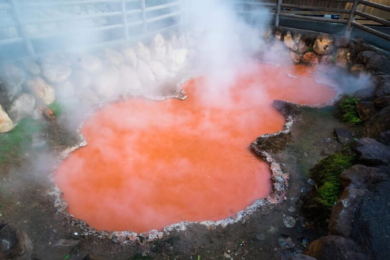 Fukuoka: Beppu Hells HotSpring, Frog Temple & Yufuin DayTrip - Weather Conditions and Punctuality