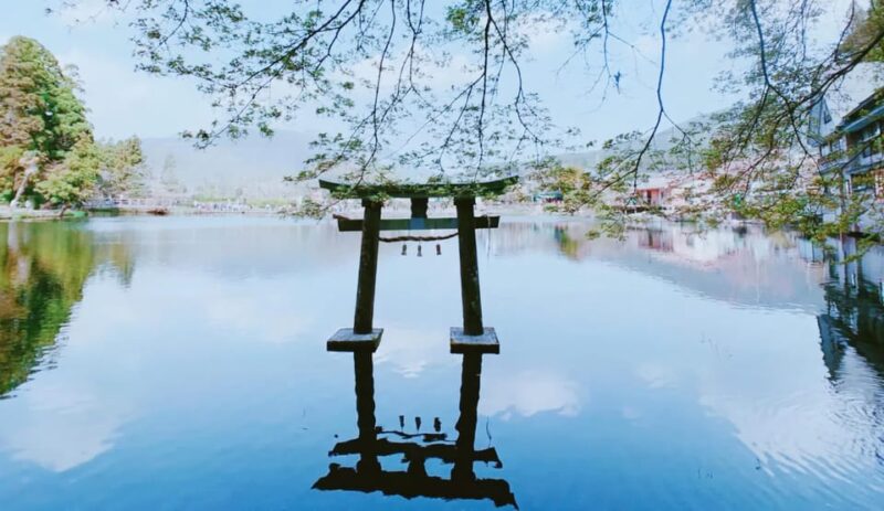 Fukuoka: Beppu Hells HotSpring, Frog Temple & Yufuin DayTrip - Tour Booking and Availability