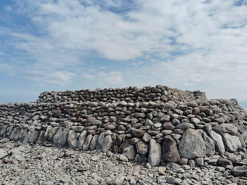 Fukuoka: Cats Island, Ainoshima Guided Tour from Hakata - Final Thoughts: Who This Tour Is For