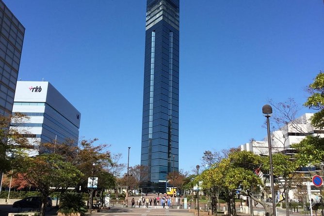 Fukuoka City Walking With Public Transport Sightseeing Tour - Booking Information