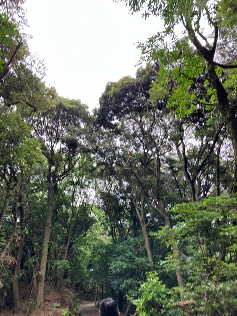 FUKUOKA : Dazaifu Eliminate Regrets Tour - Preparing for the Climb