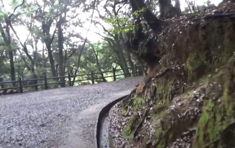 FUKUOKA : Dazaifu Eliminate Regrets Tour - Experiencing the Spiritual Journey