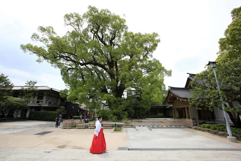 Fukuoka: Dazaifu Tenmangu 2-hour Guided Tour - What Makes This Tour Worthwhile?