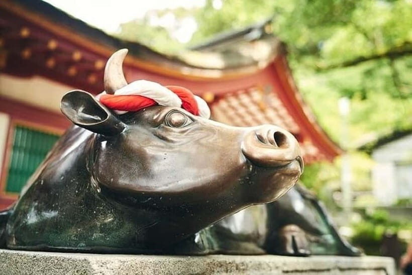 Fukuoka: Dazaifu, Yame, and Yanagawa Private Day Trip - Key Points
