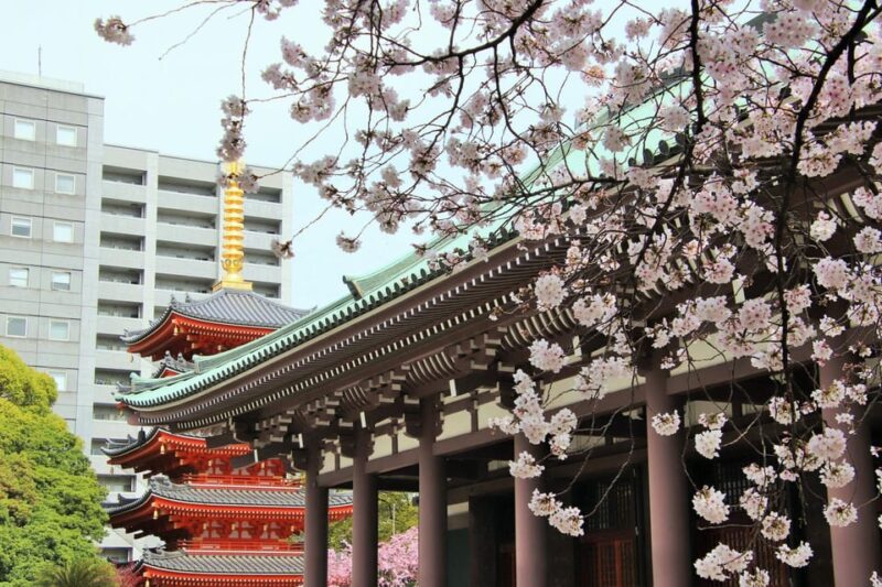 Fukuoka: Full-Day Hakata Walking Tour - Hakata Machiya Furusatokan Experience