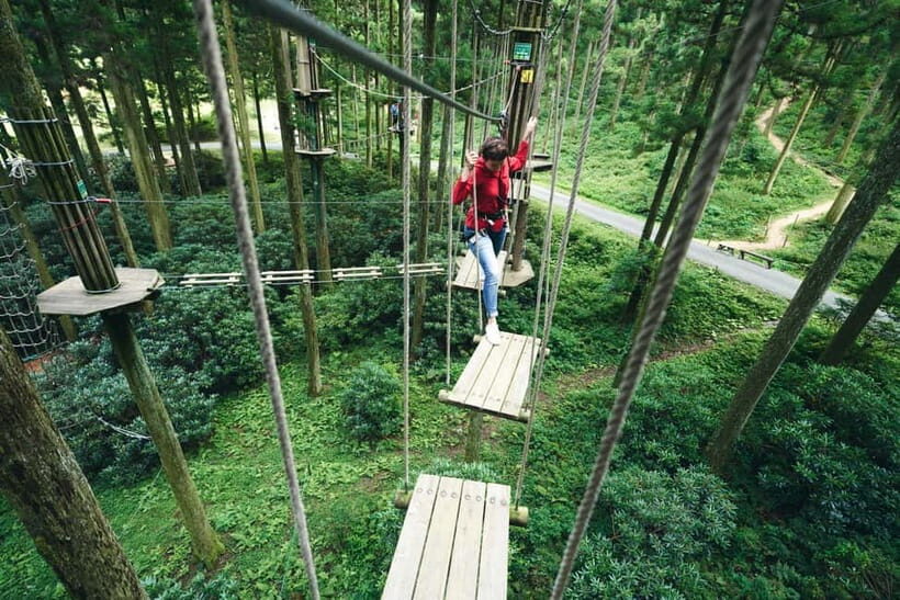 Fukuoka: Guided Walking Tour - Key Points