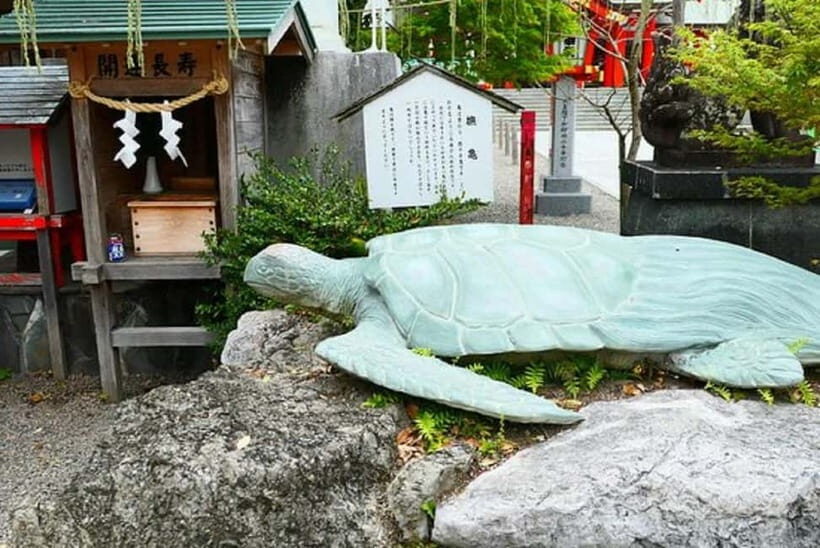 Fukuoka: Hakozaki Shrine, War Monument, & Tower Walk Tour - The Sum Up