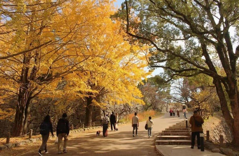 Fukuoka: Hidden History of Zen, Castles & Rebellion Tour - How the Tour Works and What You Should Know