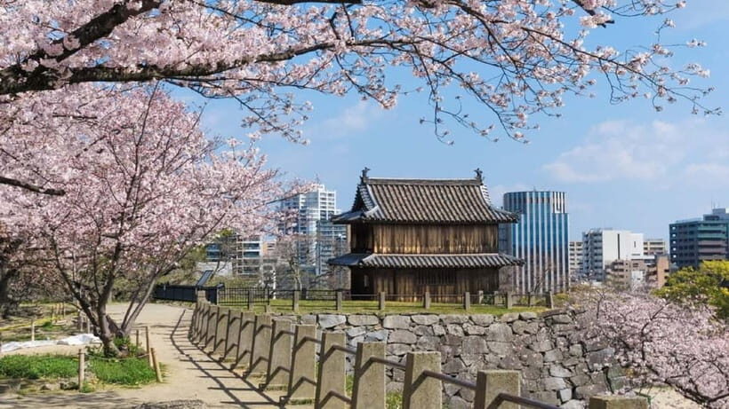 Fukuoka: Hidden History of Zen, Castles & Rebellion Tour - What Travelers Are Saying