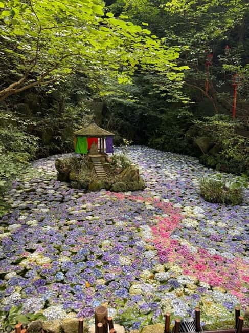 Fukuoka: Morning Serenity Guided Walking Tour - An In-Depth Look at the Tour Itinerary
