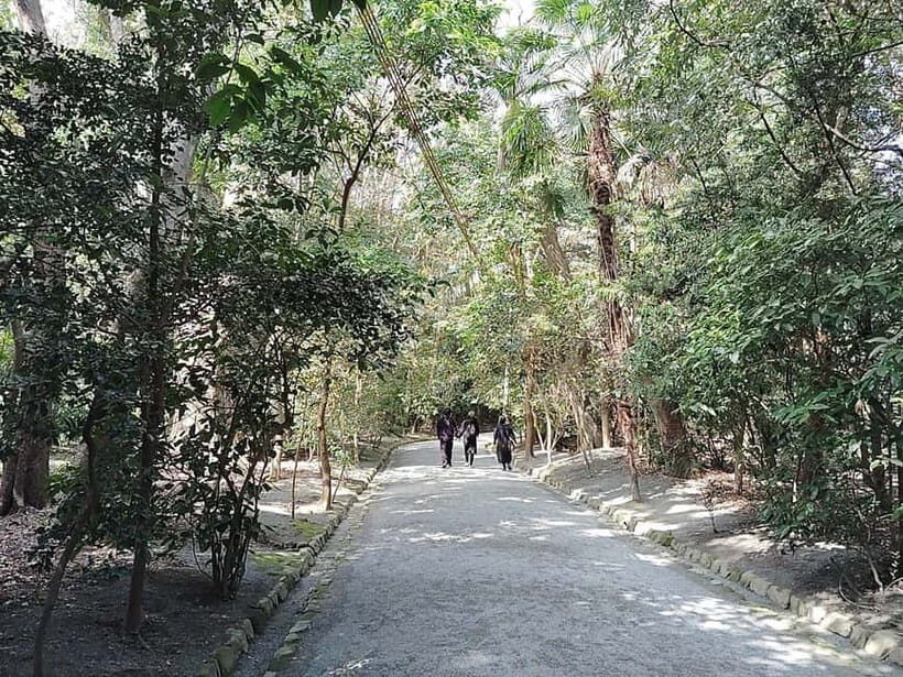 Fukuoka: Munakata Taisha Shrine Guided Tour  UNESCO Site - The Museum: Deepening Your Understanding