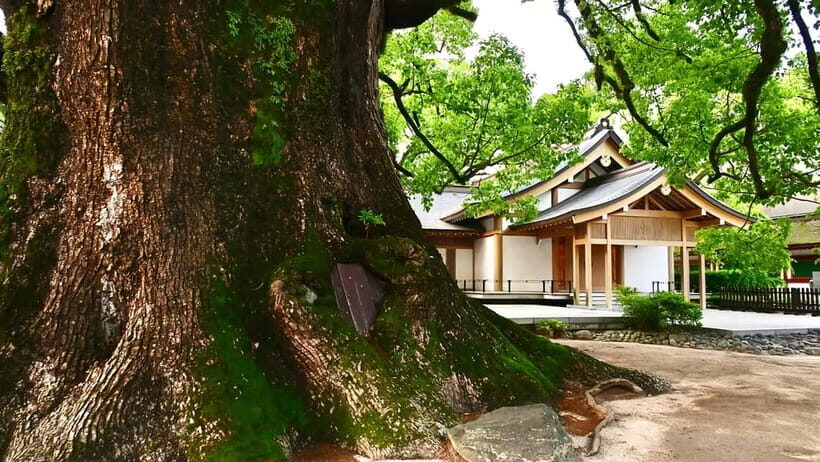 Fukuoka: Nanzoin, Dazaifu, Yufuin, & Umijigoku Tour Day Tour - Final Thoughts