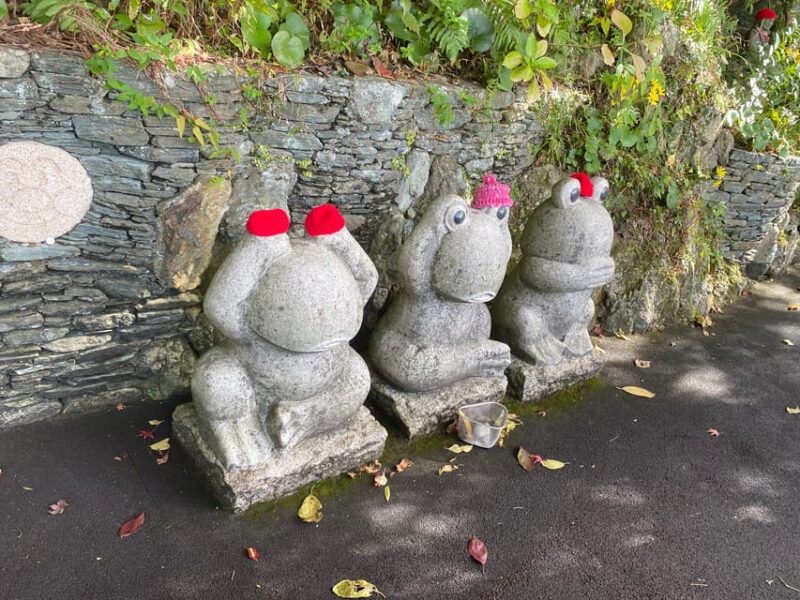 Fukuoka: Nanzoin Temple and Reclining Buddha Guided Tour - Key Points