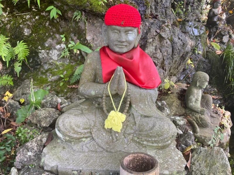 Fukuoka: Nanzoin Temple and Reclining Buddha Guided Tour - Important Information and What to Bring