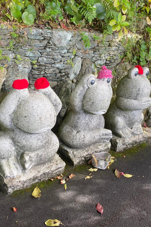 Fukuoka: Nanzoin Temple and Reclining Buddha Guided Tour - Tips for Making the Most of Your Temple Visit