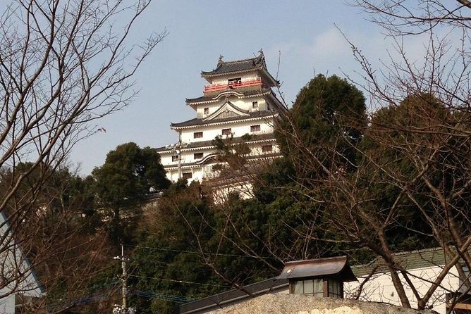 Fukuoka Nature and Cultural Sightseeing Tour - Booking and Cancellation