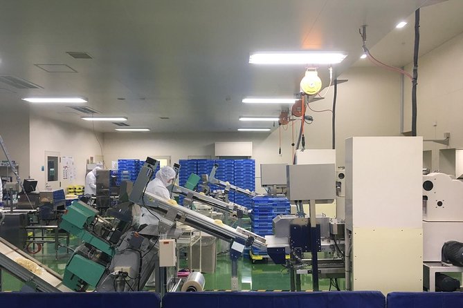 Fukuoka Nature and Cultural Sightseeing Tour - Exploring Fukuokas Natural Wonders