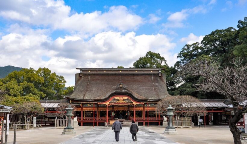 Fukuoka Private and Personalized Walking Tour with a Local - Who Will Love This Tour?