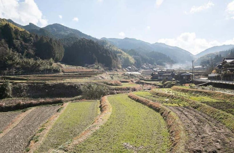 Fukuoka: Private Farm Experience with Lunch - Exploring the Countryside and Cultural Highlights