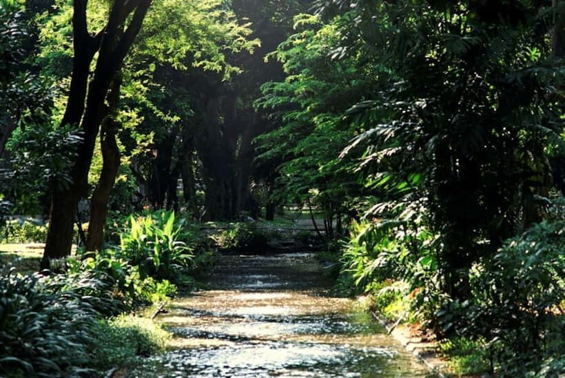 Fukuoka: Private Farm Experience with Lunch - What’s Included and What’s Not
