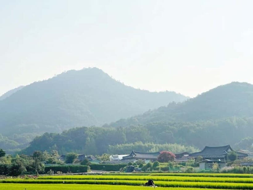 Fukuoka: Private Farm Experience with Lunch - Analyzing the Value