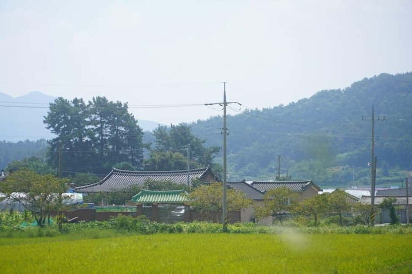 Fukuoka: Private Farm Experience with Lunch - Who Will Love This Experience?