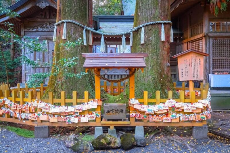 Fukuoka: Takachiho Gorge and Shrine Private Day Trip - Takachiho Shrine Visit