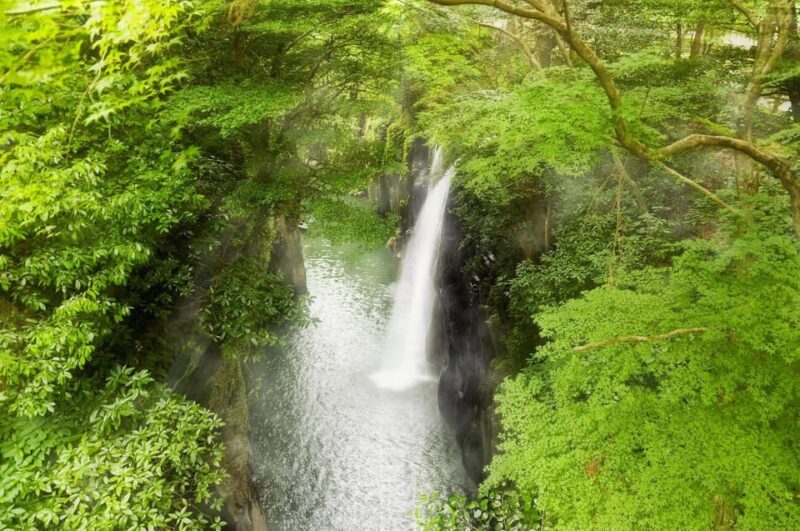Fukuoka: Takachiho Gorge and Shrine Private Day Trip - Legends and Myths Unveiling