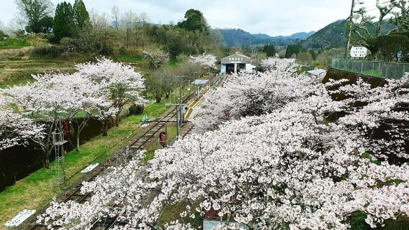Fukuoka: Takachiho Gorge & Scenic Railway One Day Tour - Final Thoughts
