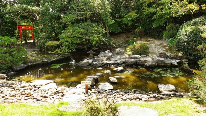 Fukuoka Tour: Sacred Island of Munakata and Heritage Sites! - Itinerary Highlights