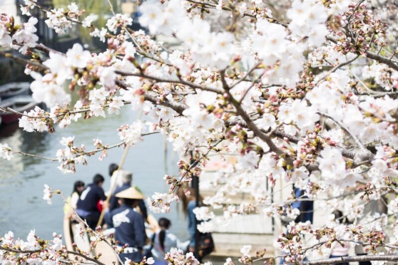 Fukuoka: Yanagawa Kimono Rental, River Cruise, and Lunch - River Cruise Along Yanagawa River
