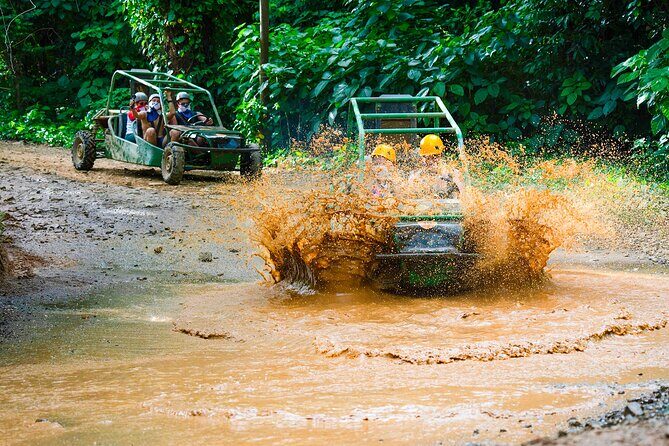 Full Adventure Adrenaline Nature Zipline Buggy and Horse - Key Points