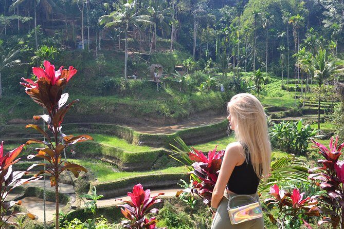 Full Board Package 3 Days Highlight Bali All Inclusive - Analyzing the Value