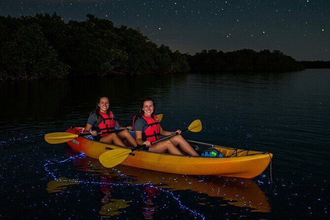 Full Clear Kayak Bioluminescent Experience Vieques, Puerto Rico - Who Should Book This Tour?