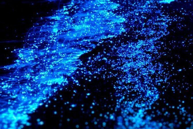 Full Clear Kayak Bioluminescent Experience Vieques, Puerto Rico - The Sum Up