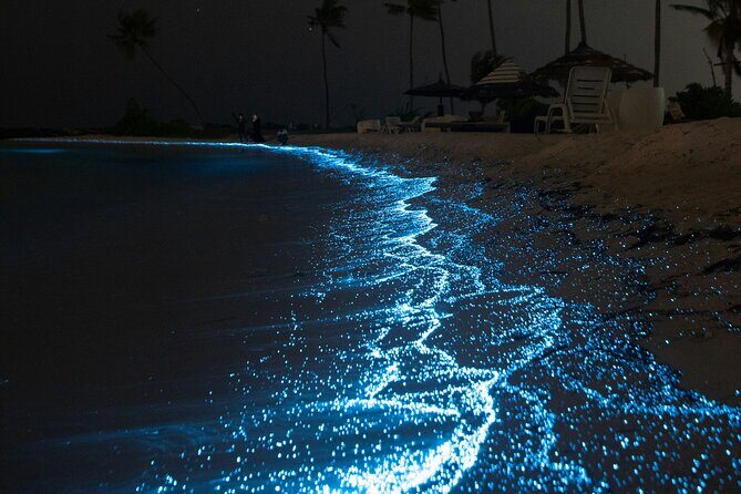 Full Clear Kayak Bioluminescent Experience Vieques, Puerto Rico - FAQ