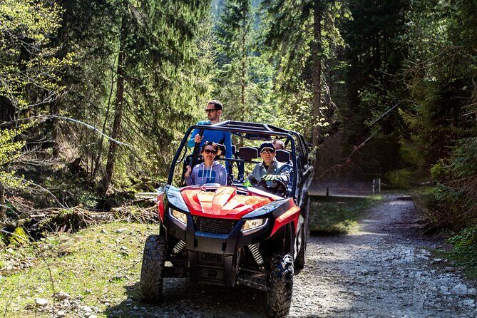 Full-Day 4-Seater Can-Am Commander Max UTV Rental - Why Choose a UTV Adventure in Island Park?