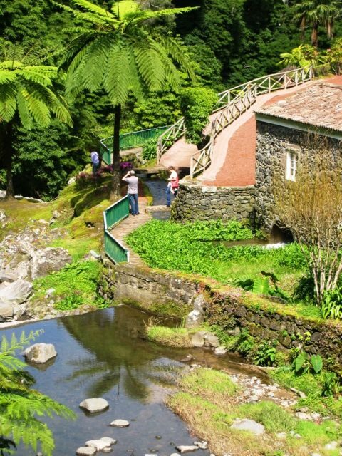 Full-Day 4x4 Nordeste Azores Tour from Ponta Delgada - Who Will Love This Tour?