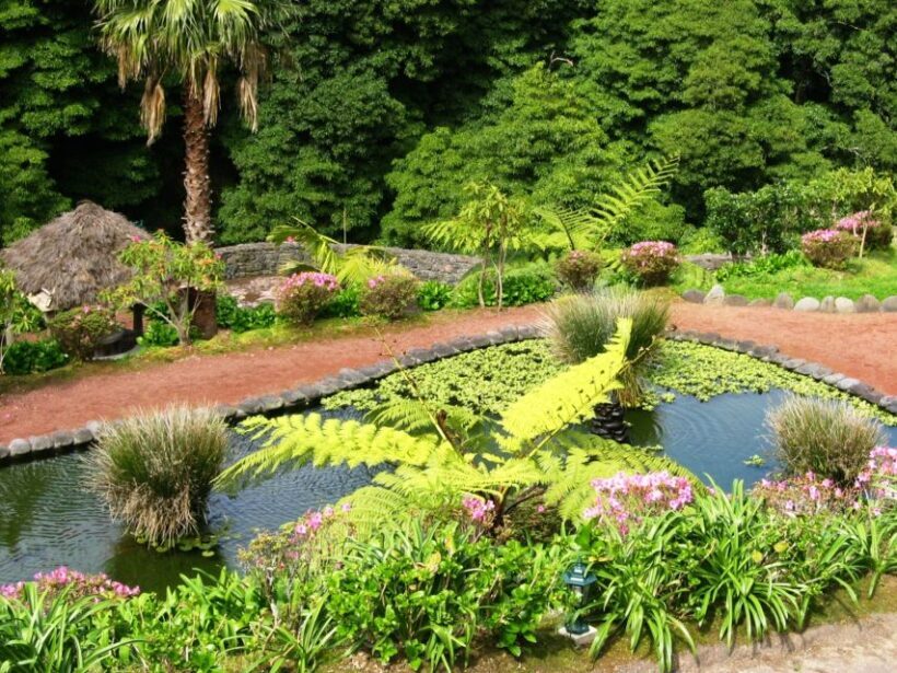 Full-Day 4x4 Nordeste Azores Tour from Ponta Delgada - Final Thoughts