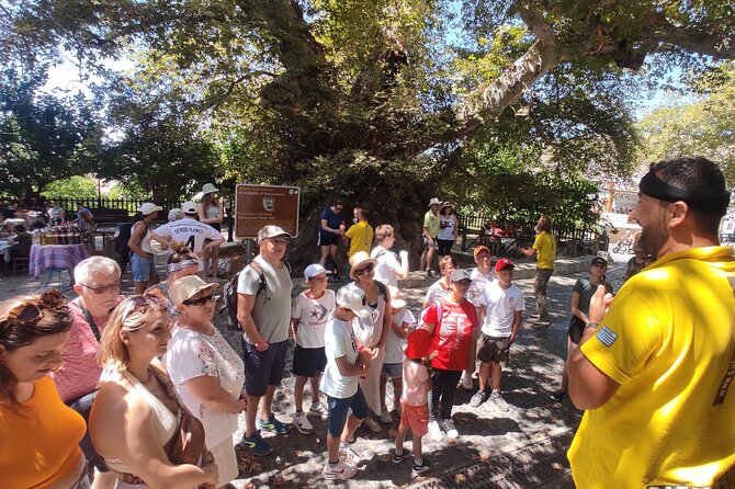 Full Day 4x4 Self-Drive Safari Tour in Crete With BBQ Lunch - Included Amenities and Highlights