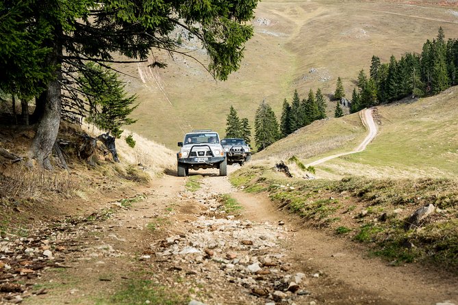 Full Day 4x4 Tour in the Eastern Carpathians - Who Will Love This Tour?