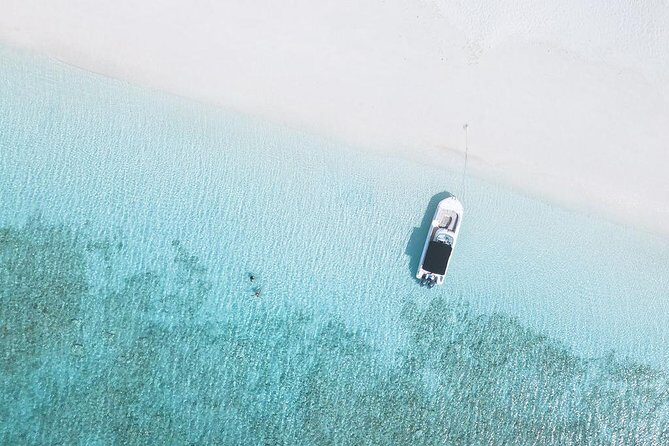 Full day 7hours- beach bbq, snorkel, Iguana island, half moon bay pine cay, Fun! - Snorkeling and Marine Life Encounters