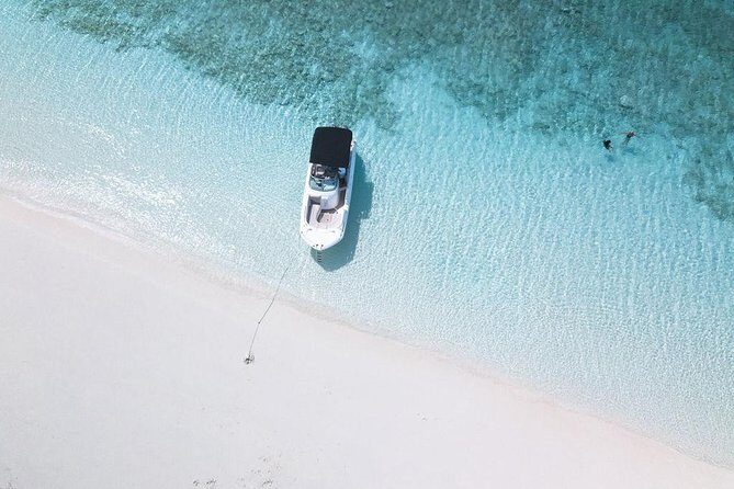 Full day 7hours- beach bbq, snorkel, Iguana island, half moon bay pine cay, Fun! - The Guides and Crew: What Travelers Say