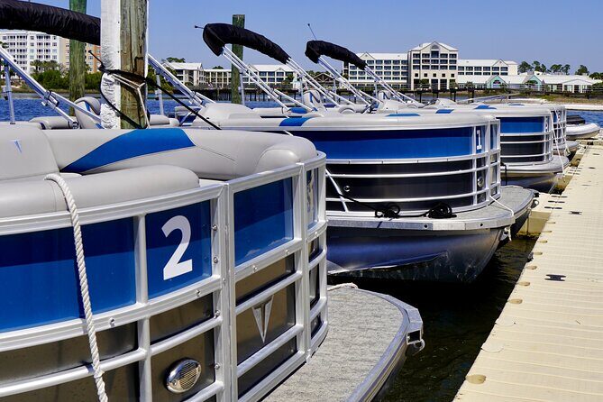 Full Day 90HP Pontoon Rental to Shell Island - What Sets This Rental Apart
