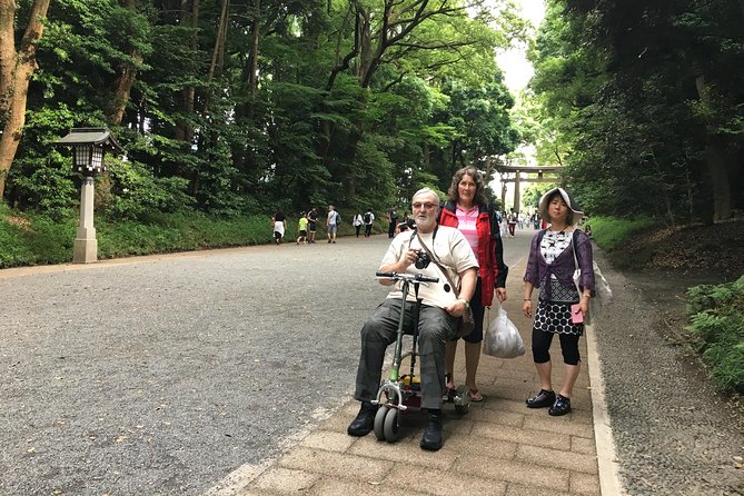 Full-Day Accessible Tour of Tokyo for Wheelchair Users - Visiting Tokyo Tower