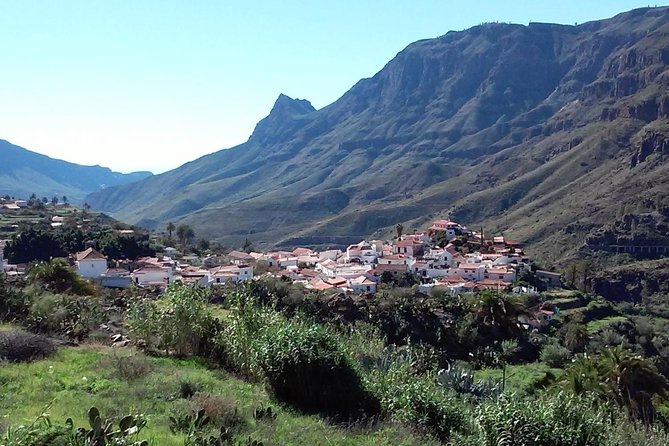 Full Day Across the Island Tour from Las Palmas - Practical Tips for Making the Most of the Tour