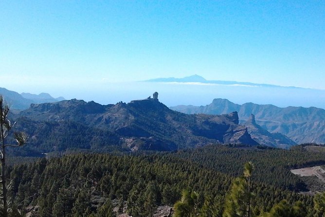 Full Day Across the Island Tour from Las Palmas - Who Will Love This Tour?