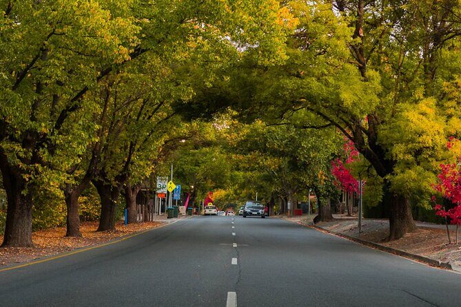 Full Day Adelaide Private Guided Car Tour - Value and Practicalities