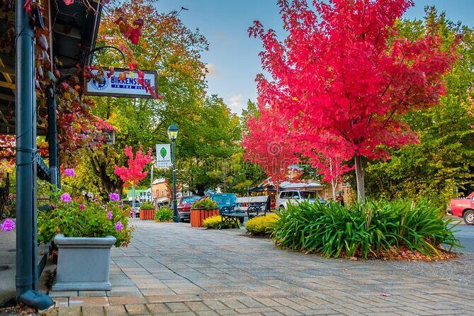 Full Day Adelaide Private Guided Car Tour - FAQ